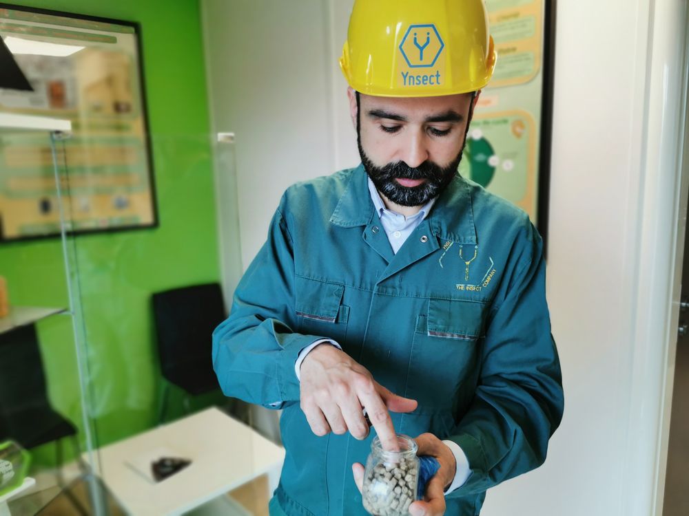 Video: Touring Ynsect Vertical Insect Farm With CEO Antoine Hubert